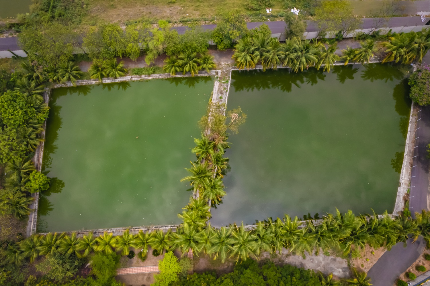 VIL’S Sustainability Initiations – Vasantha